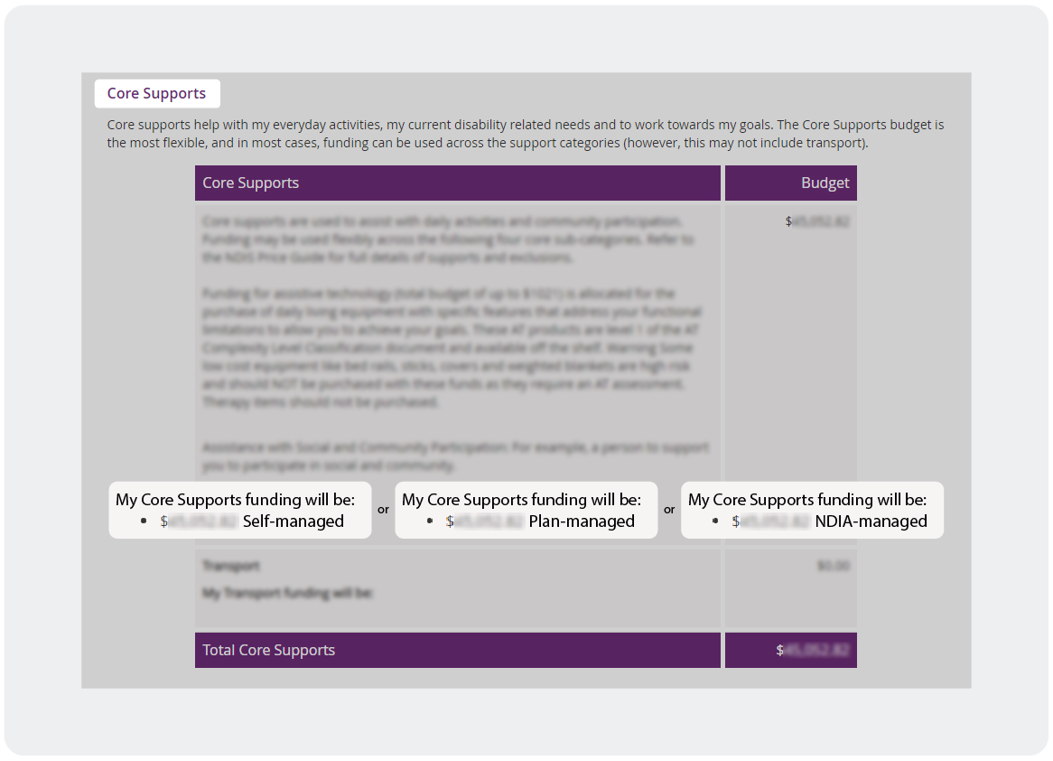 Convo Australia - NDIS